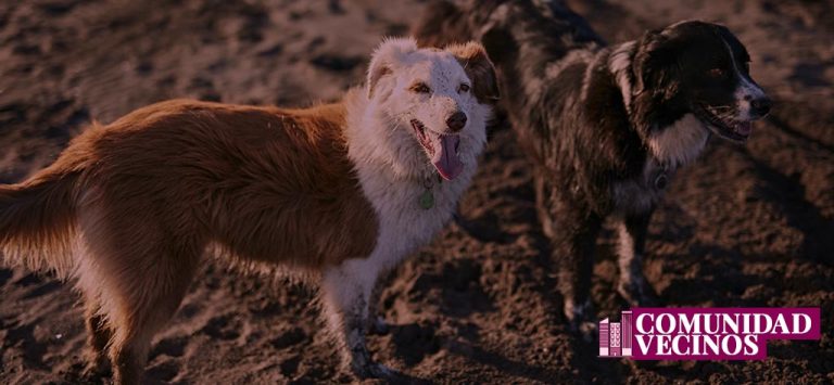 Reunión de comunidad de vecinos ️ Todos los detalles